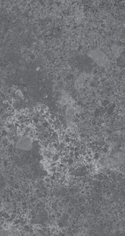 Concrete Gray – Quartz Plus